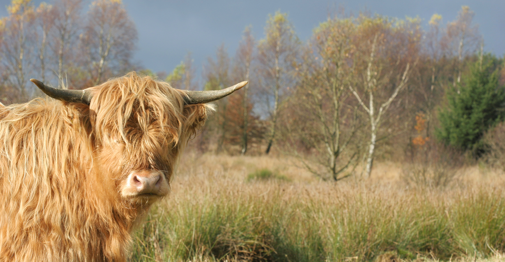 Emmelstal : balade à Amel | Natagora