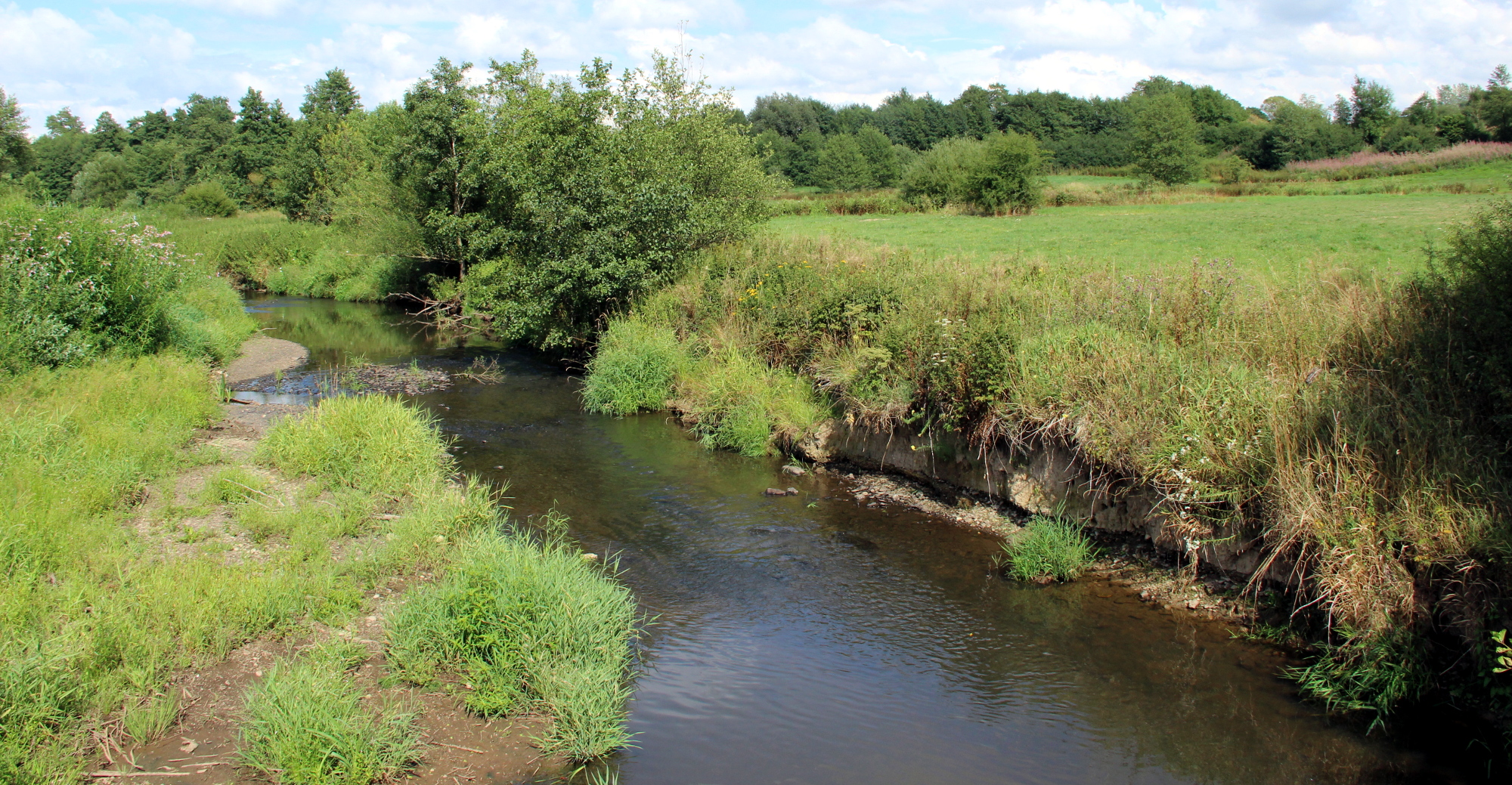 Vallée de la Rulles : balade à Habay | Natagora
