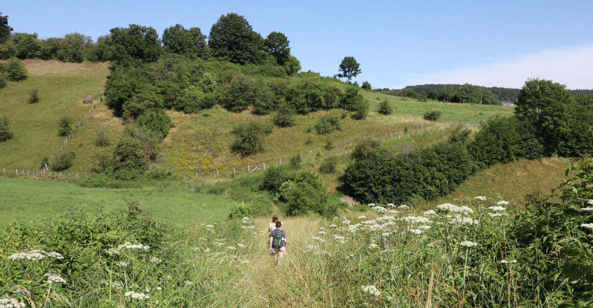Entre monts et vallées : balade à Theux | Natagora