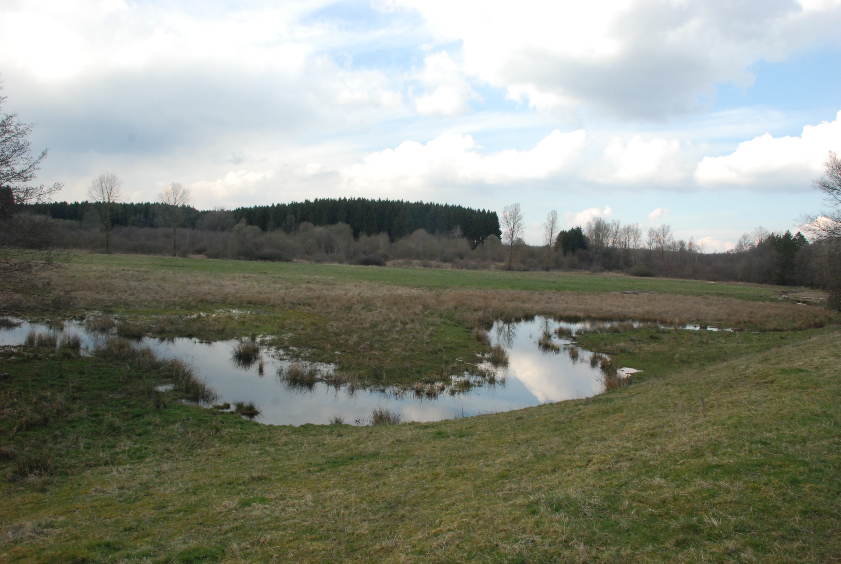 Gestion à Breuvanne | Natagora