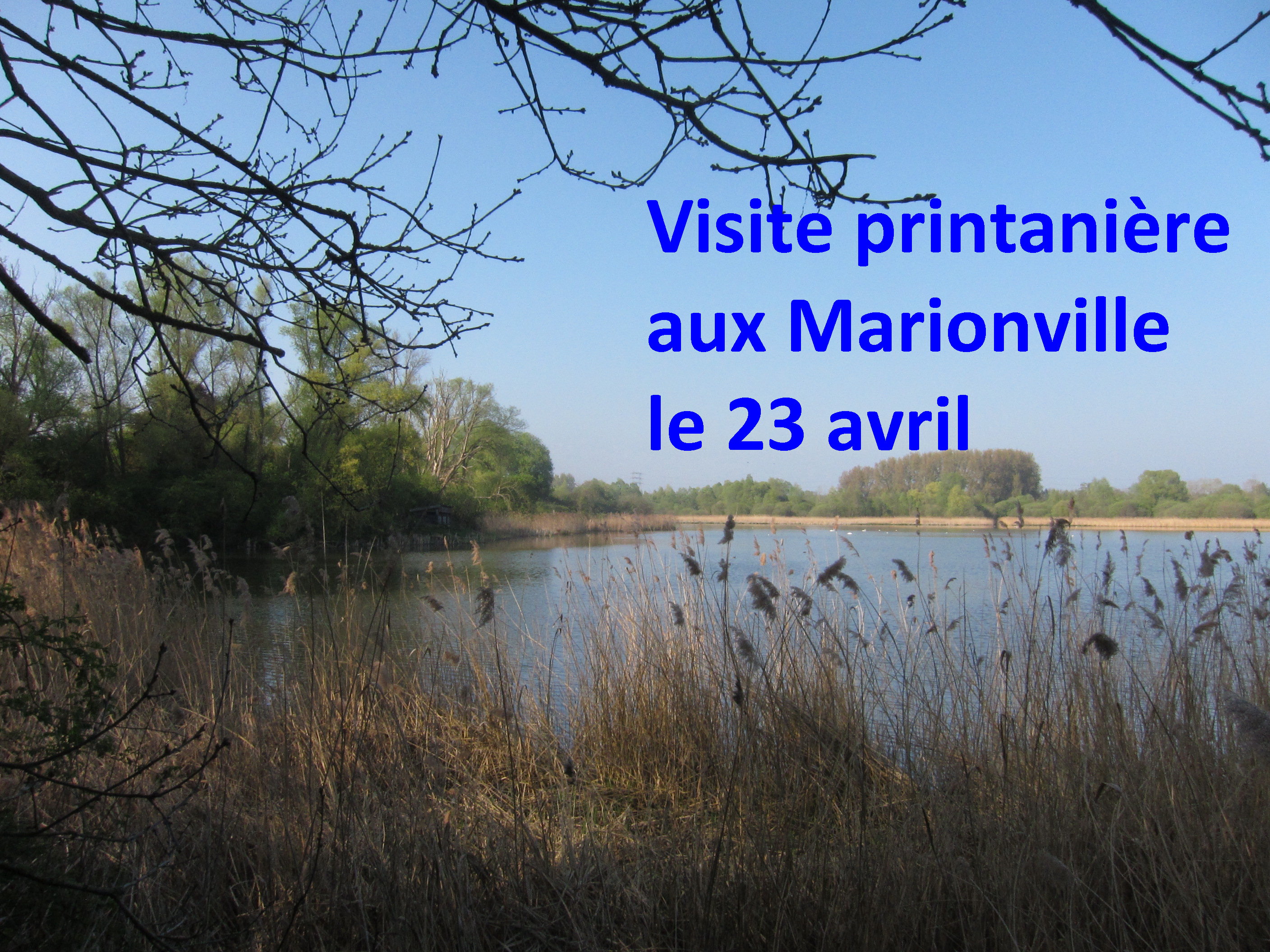 Visite printanière aux Marionville | Natagora
