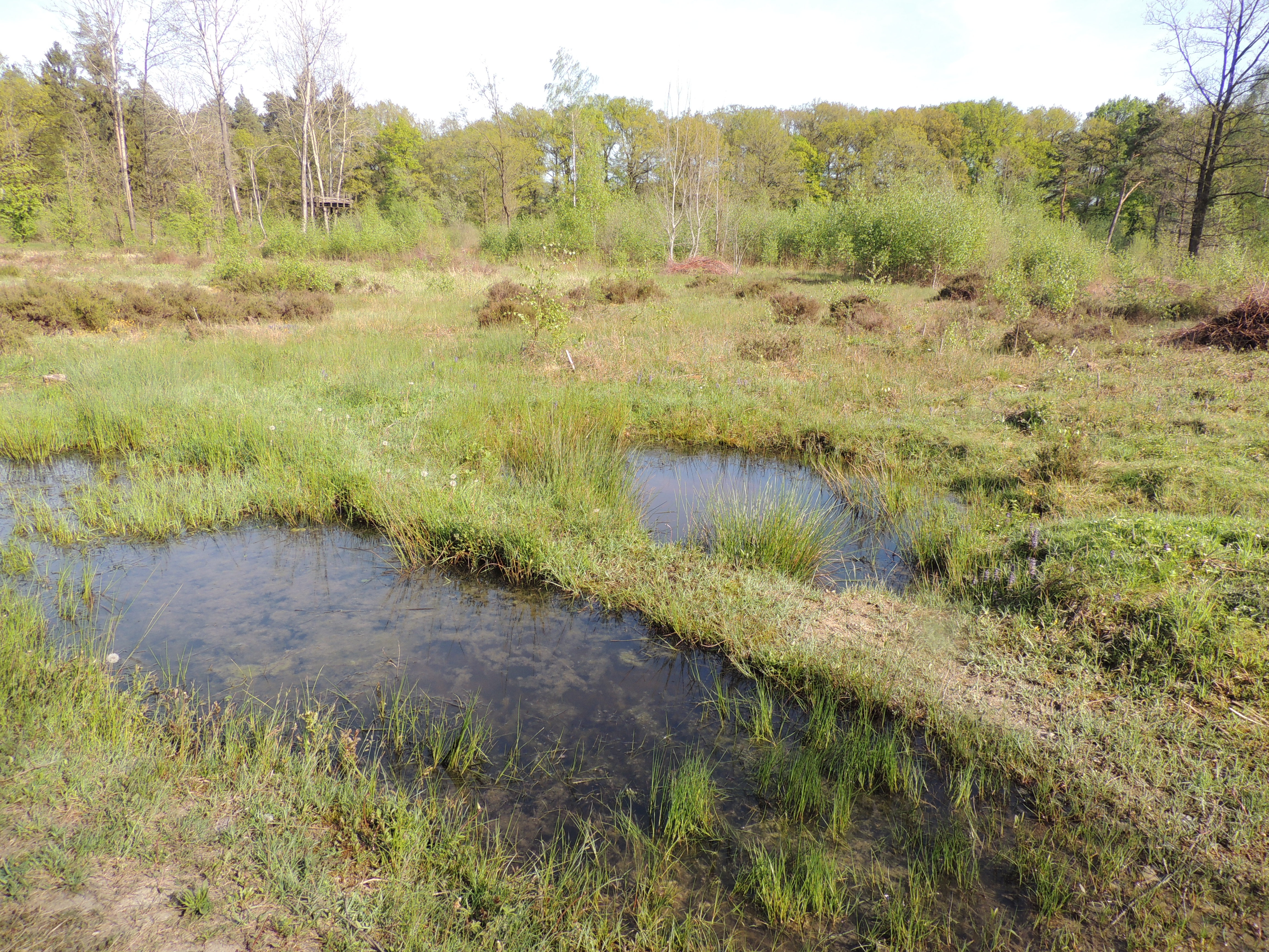 Gestion de la réserve naturelle "Les Culées" à Matagne | Natagora