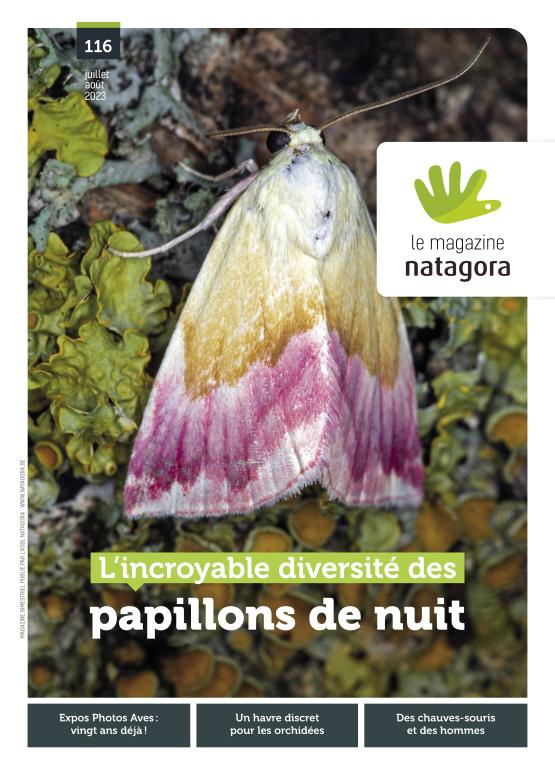 Le magazine Natagora n°116 - L'incroyable diversité des papillons de ...